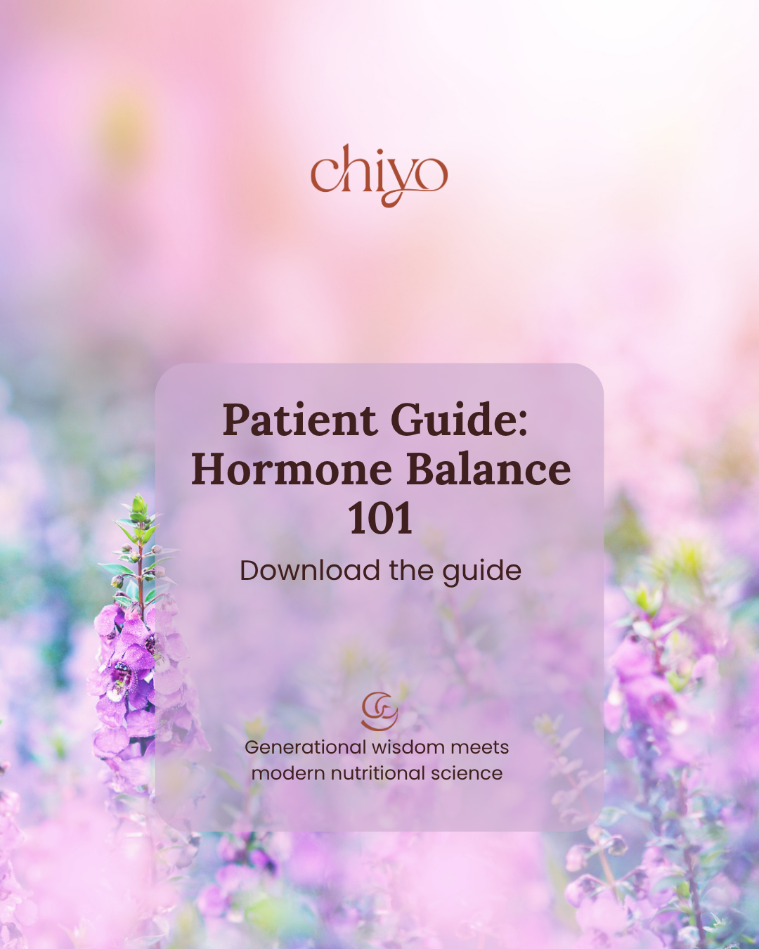 Chiyo Collective Hormone Balance 101 Guide Downloadable